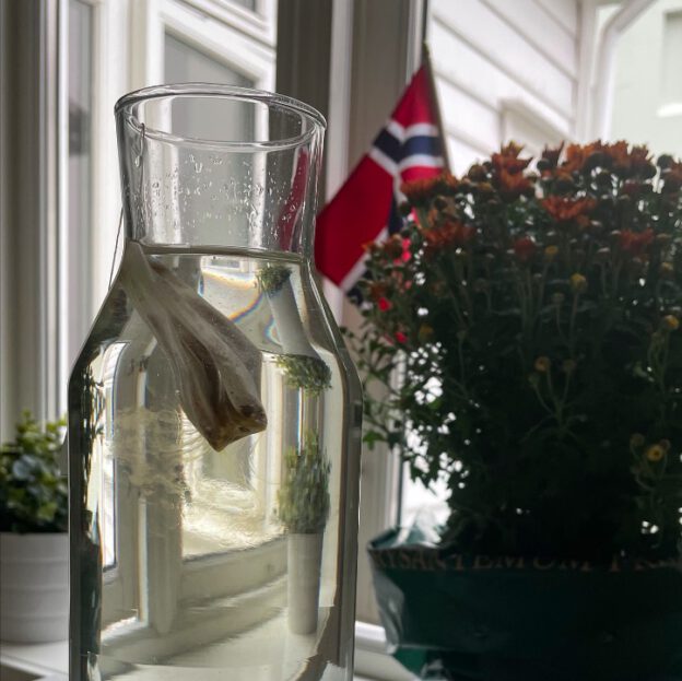 Molecular diffusion at different temperatures (involving tea bags and ...