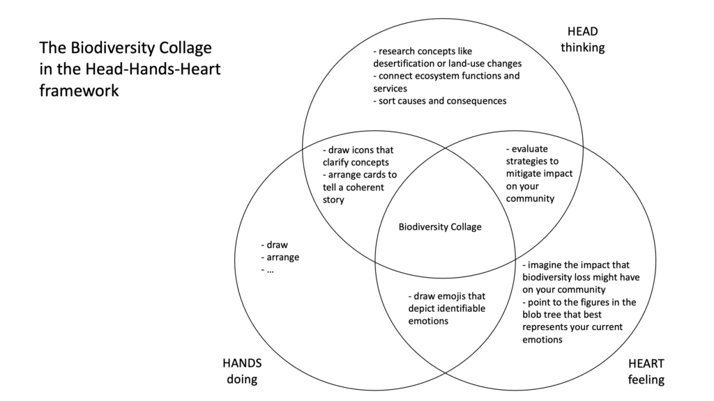 Applying the Head-Hands-Heart framework to my "teaching sustainability ...
