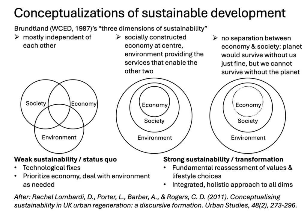 Conceptualizations of weak and strong sustainability (according to ...
