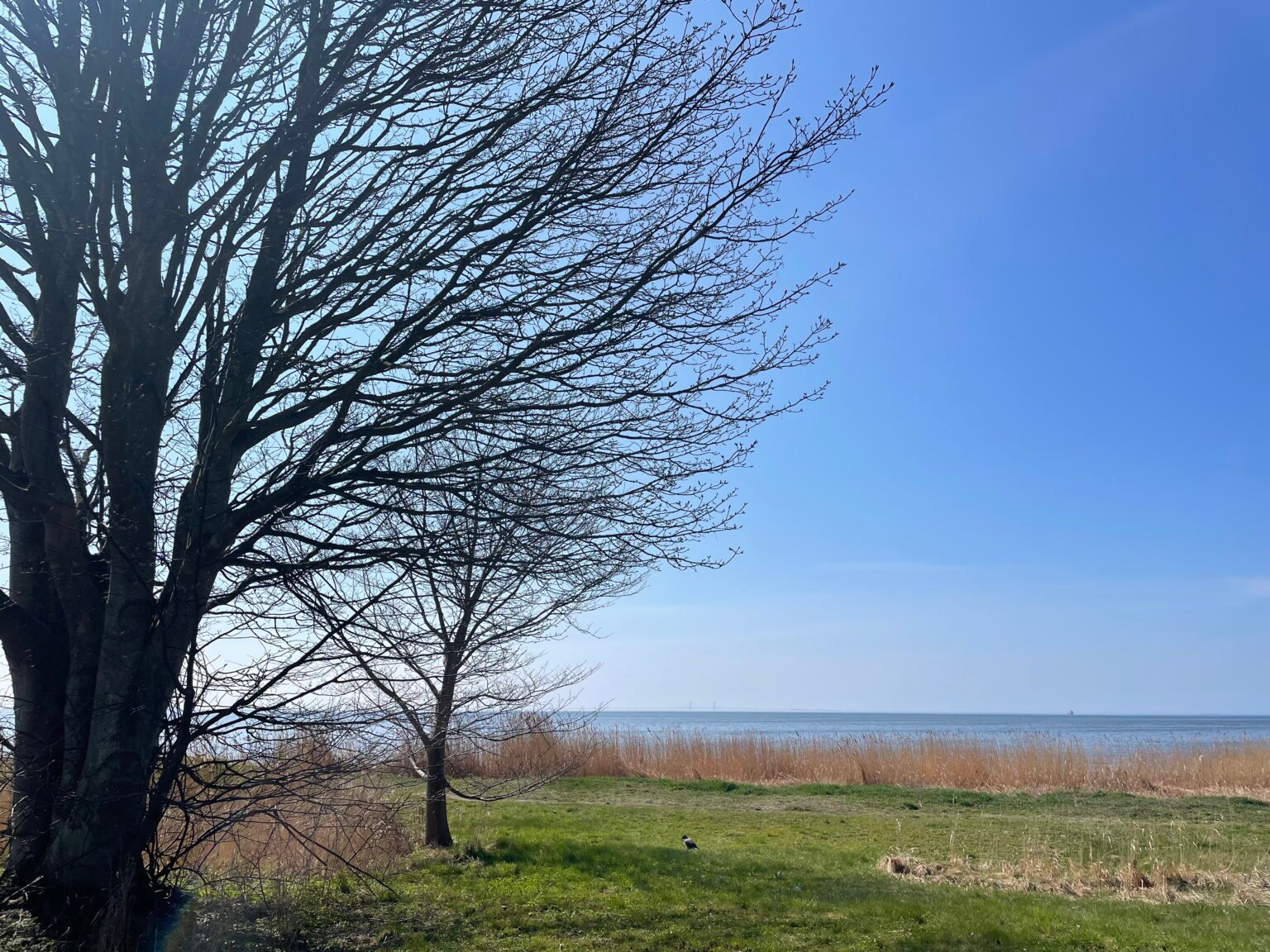 Currently reading Mottershaw (2026) on “Class in session: discussing ...